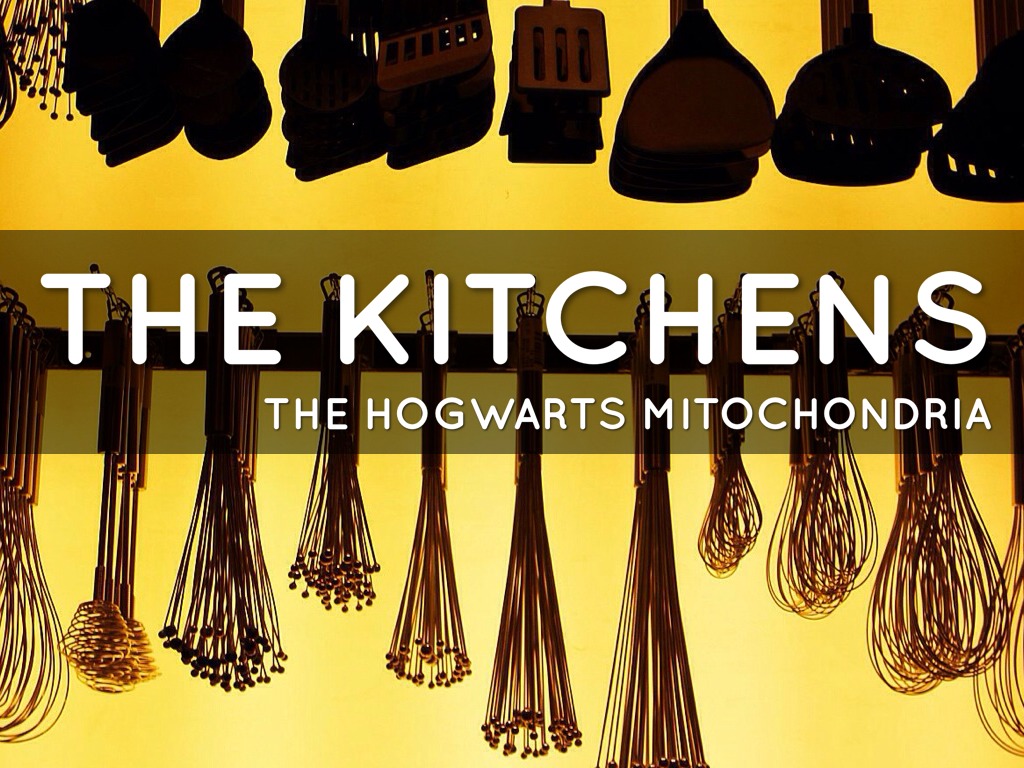 Science Cell Project by briyaowl