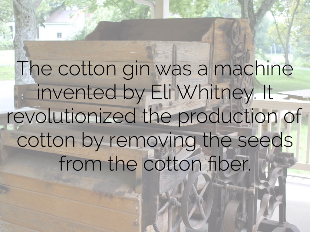 Eli Whitney by Denielle Torralba