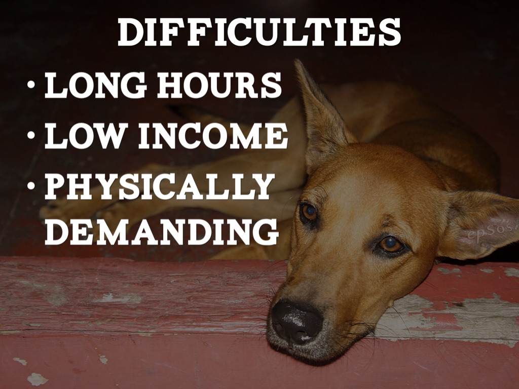 Animal Science by Nathan Schell