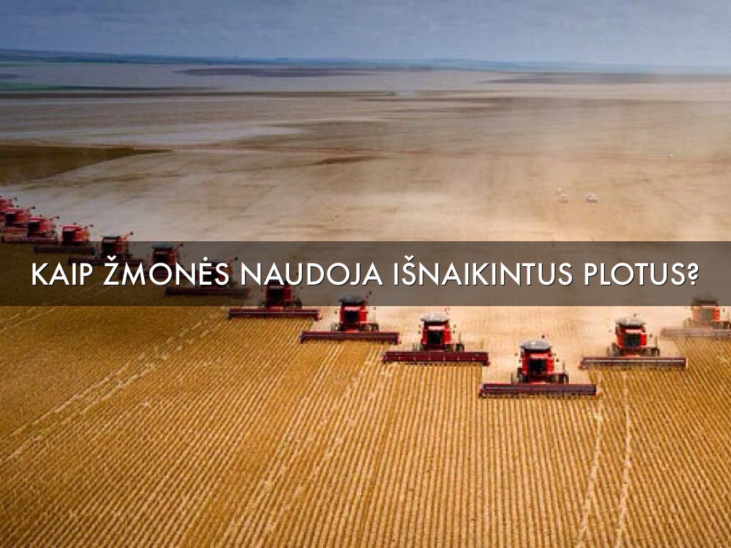 Amazonės miškų likimas