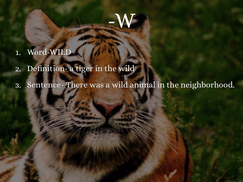 Search For Delicious By Rachel Walker by Karen Morris