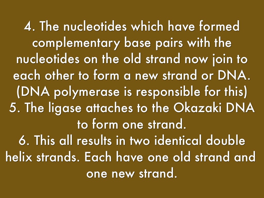 DNA Replication by Autumn Kemske