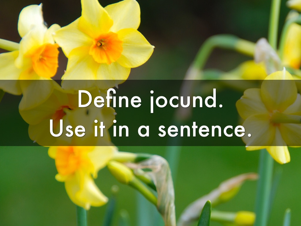 Romeo And Juliet Acts 2 & 3 Review by Michala Maurer