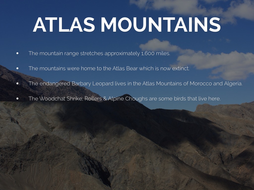 Africa by Allison Gimpel