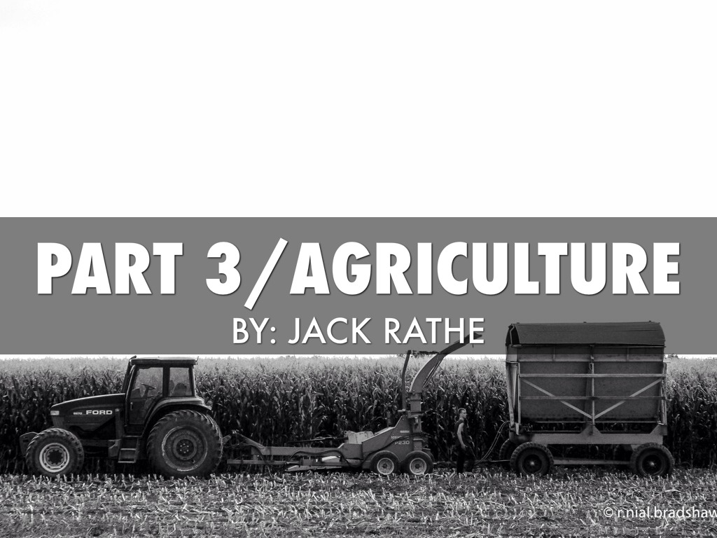 WG Project/Argulculture by jack rathe