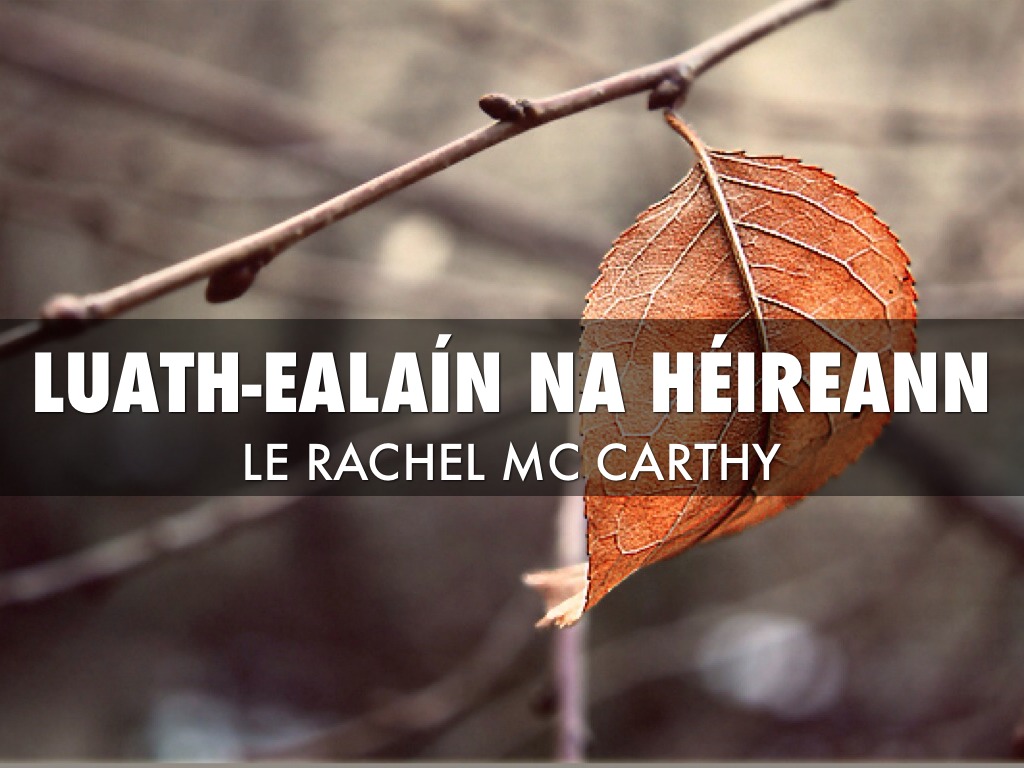 Luath-ealaín na hÉireann by Rachel Mc Carthy