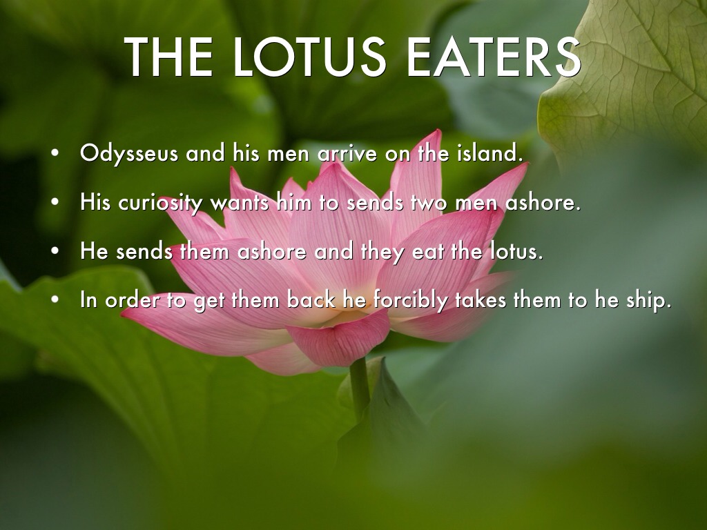 Timeline Visual by Jacob Feemster