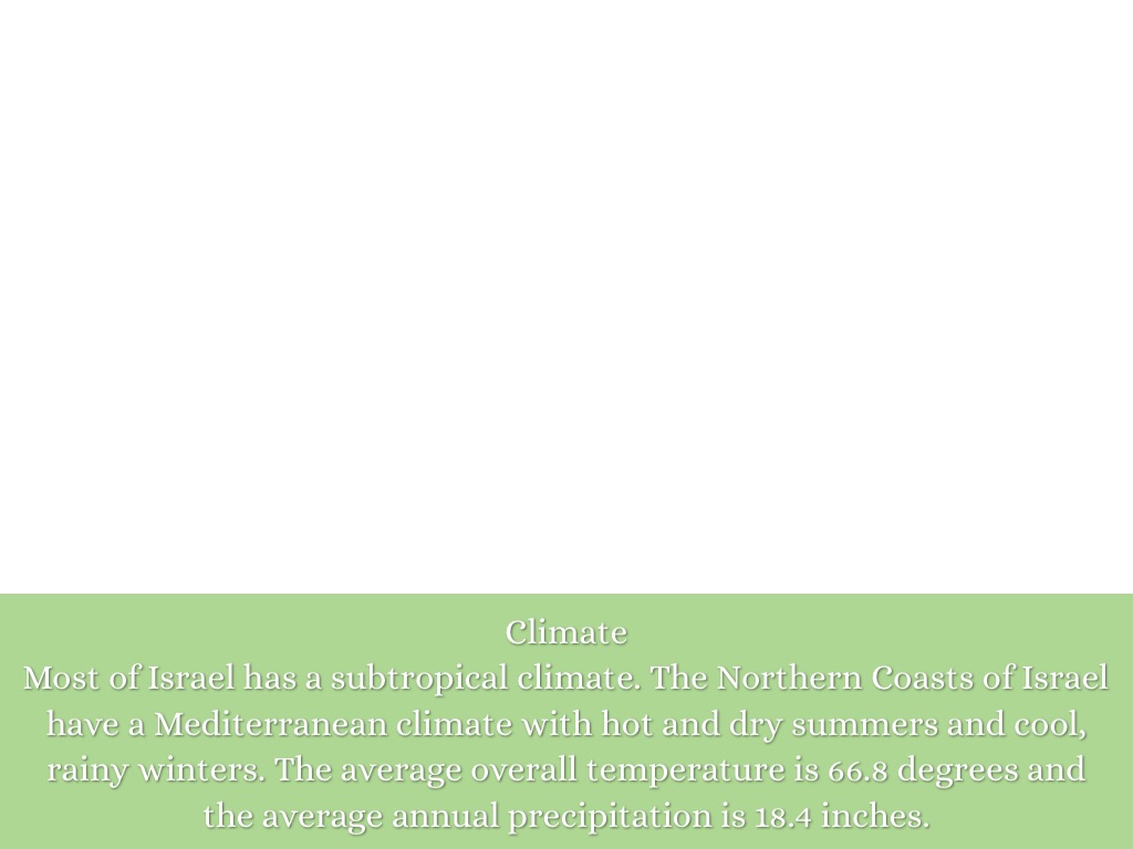 Israel by Kayla Parnell