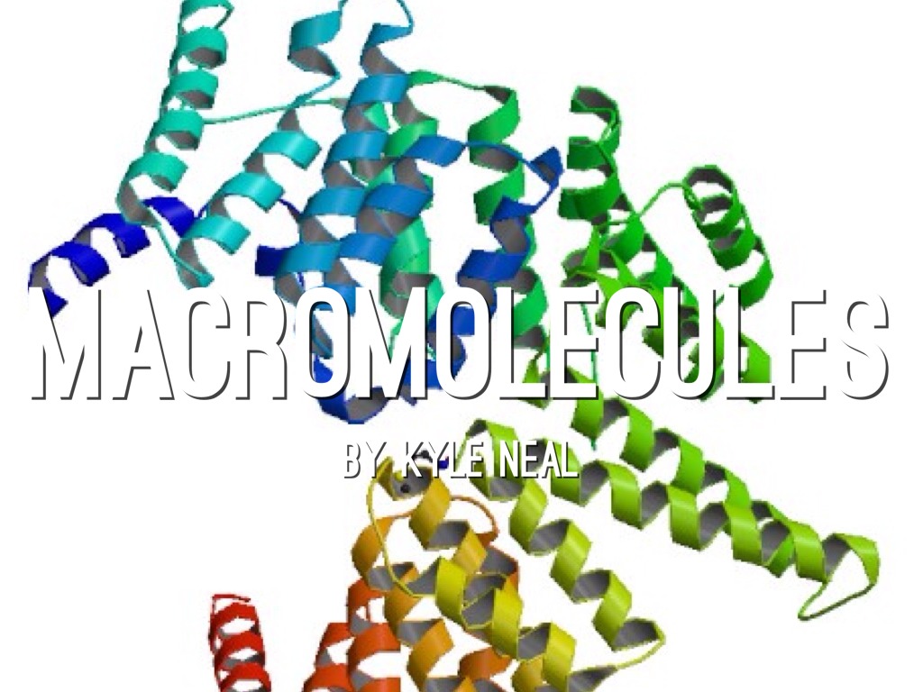 Macromolecules by Kyle Neal