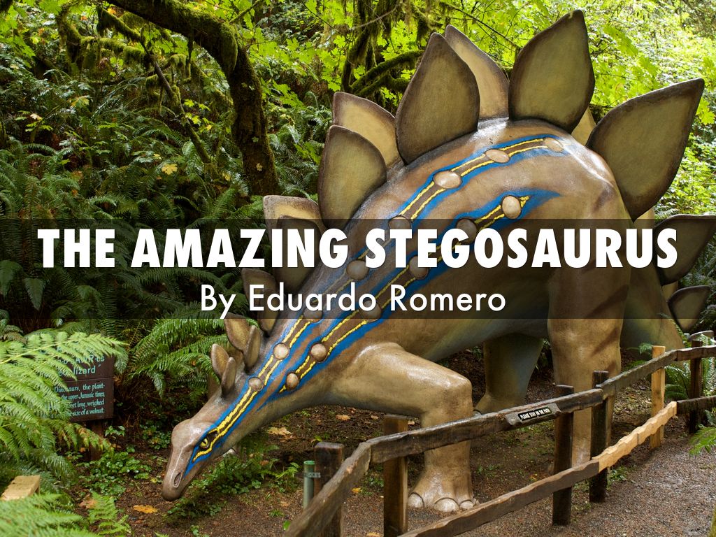 Eduardo Romero by Mr. Fenn