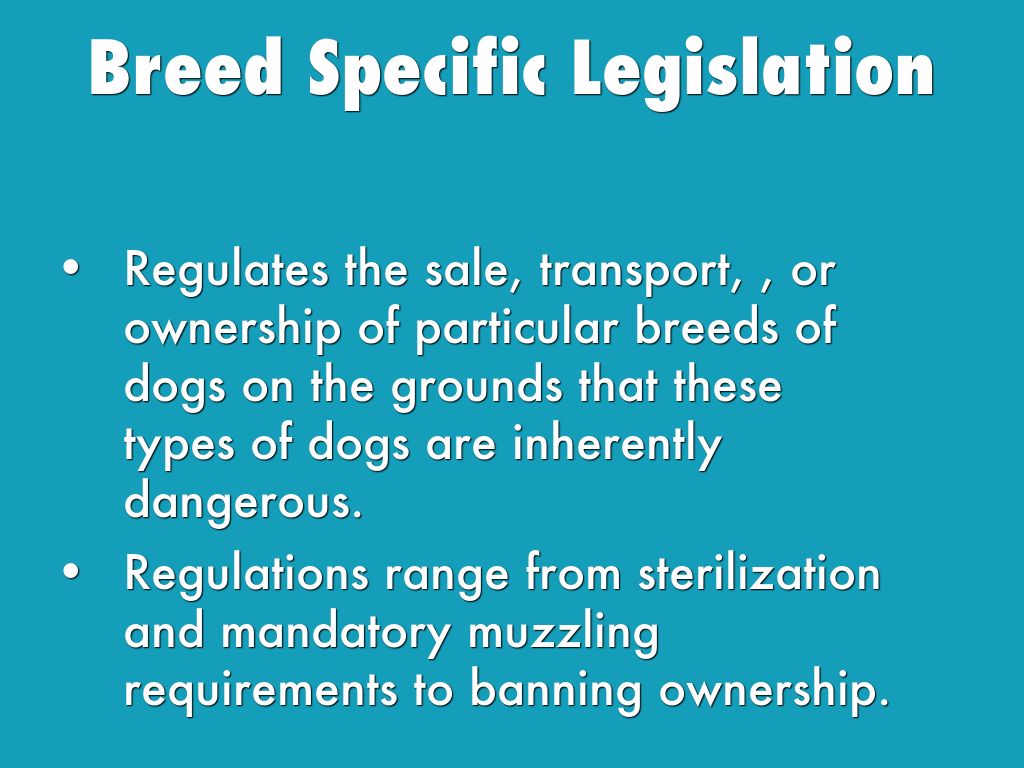 Breed Specific Legislation by celiaspalding