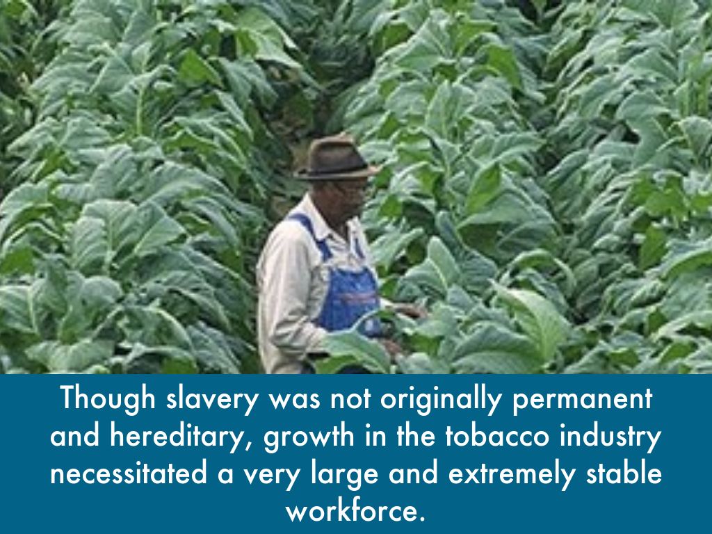 The Origins and Development of Slavery in America by