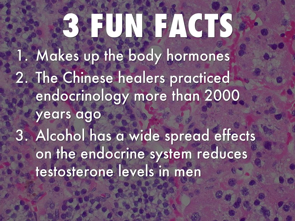 Fun Facts About The Endocrine System Slideshare