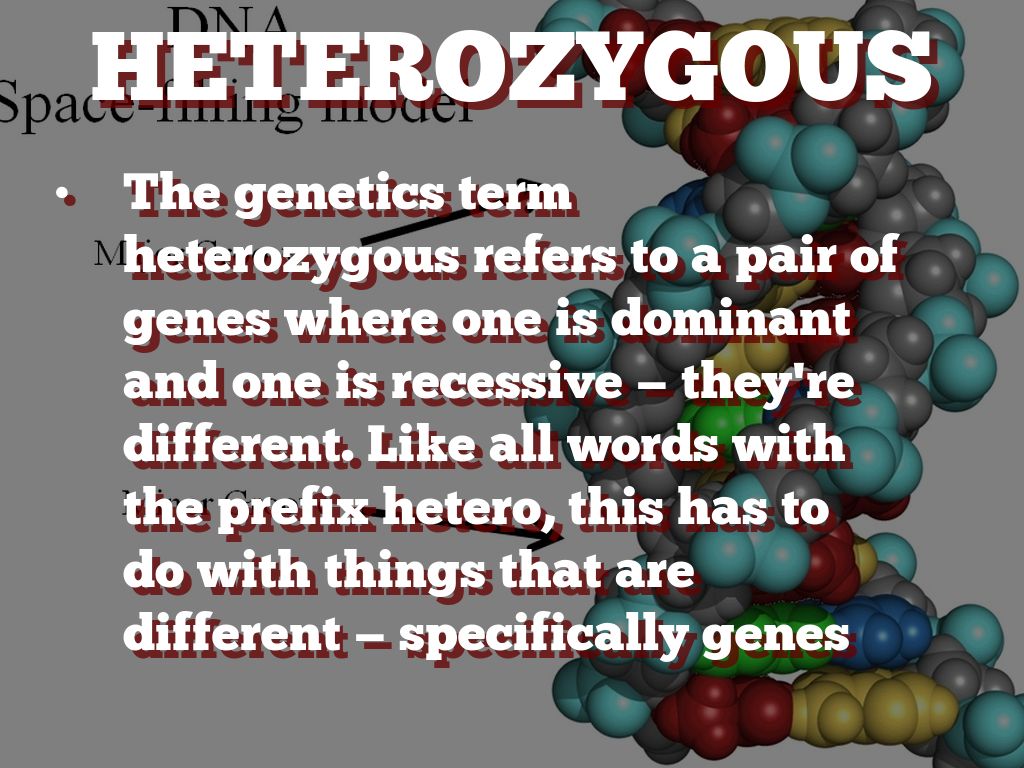 Vocabulary by 1315071265