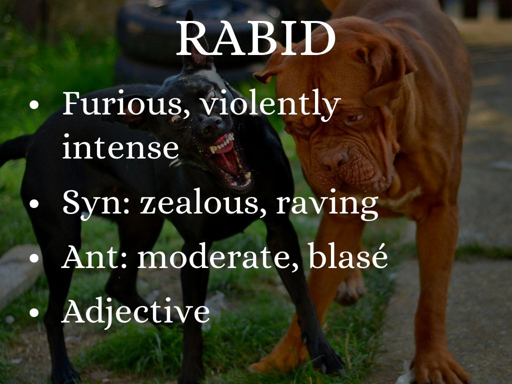 Vocab Unit 8 by Rick Naylon