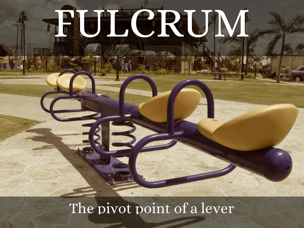 Chapter 13 Vocabulary Science Colt by Annie Cagle