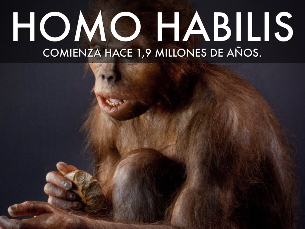 La Evolución by Ana San Juan Rodríguz