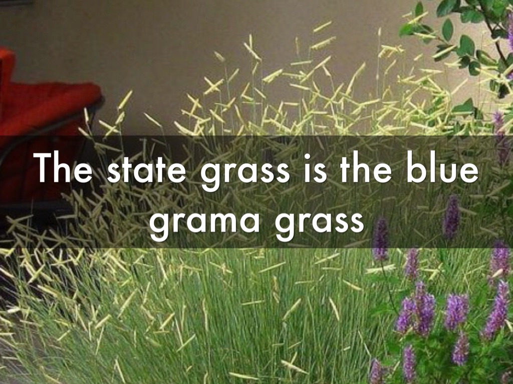 Colorado by K Kiritschenko