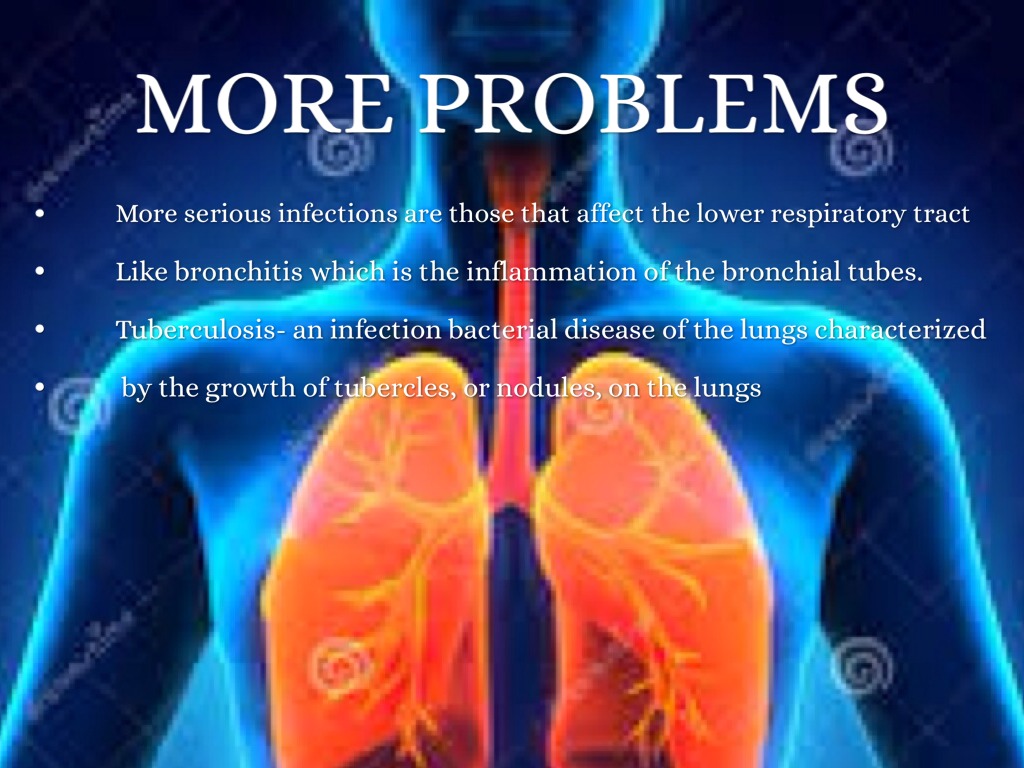Respiratory System by Logan Luckett