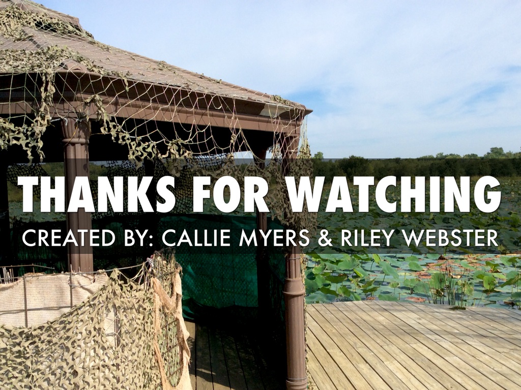 Callie Myers & Riley Webster's Llela Presentation by