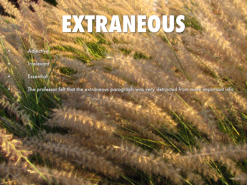 Vocabulary Review by Tyler Hood-newsom