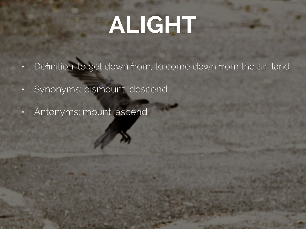 English Vocab by Kaden Murphy