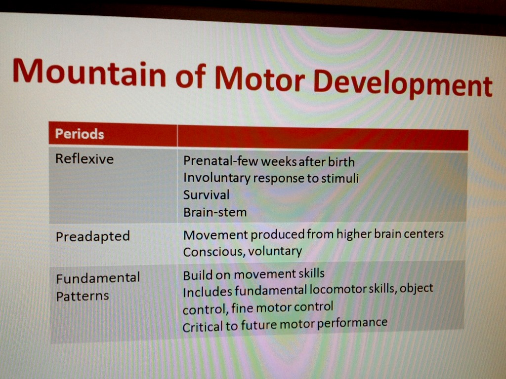 Motor Development-Chapter One by Kristen Mullady