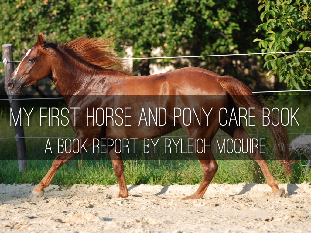 My First Horse And Pony Care Book Report by Patrick