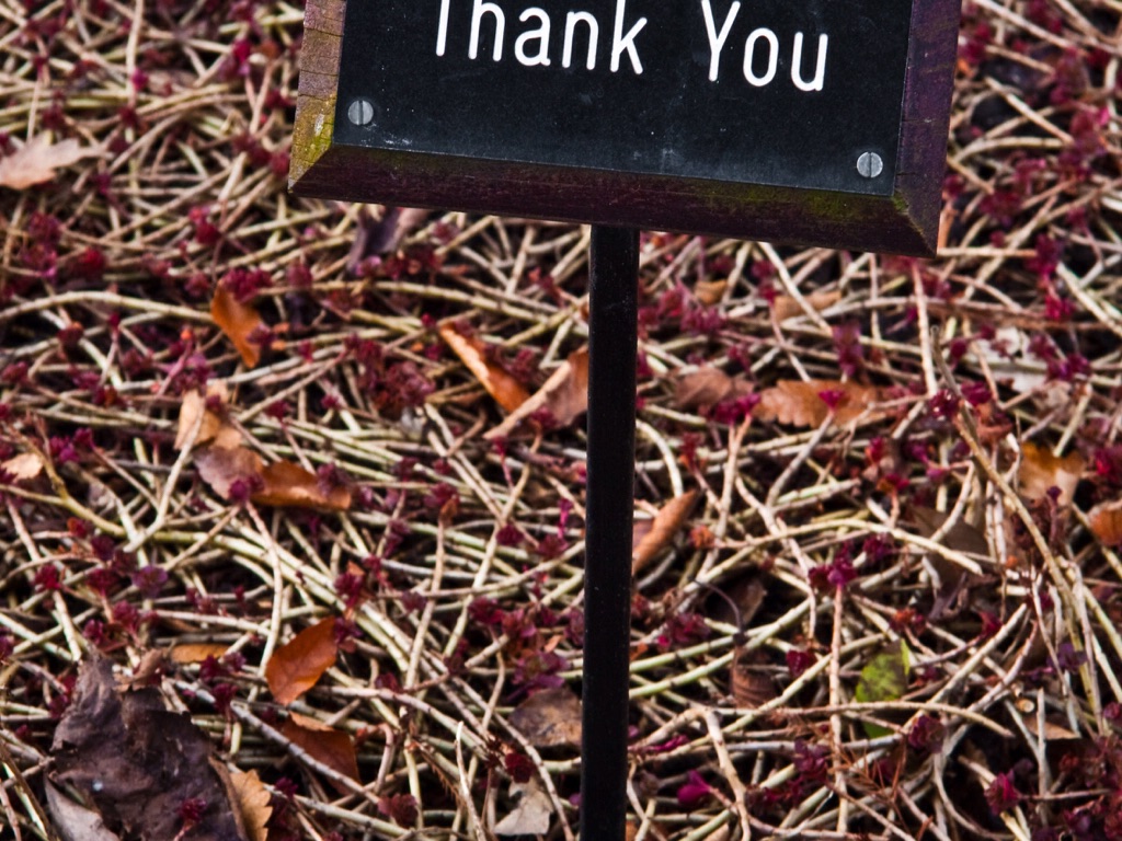 Depression In Children by Andrea Maffeo