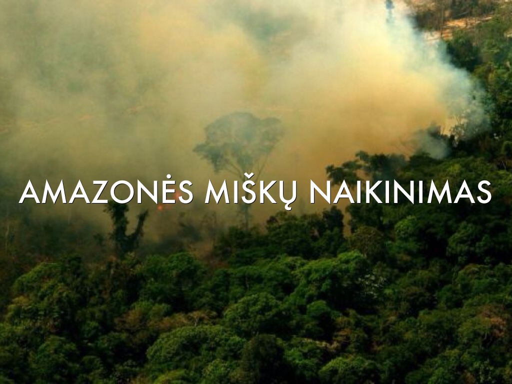 Amazonės miškų likimas