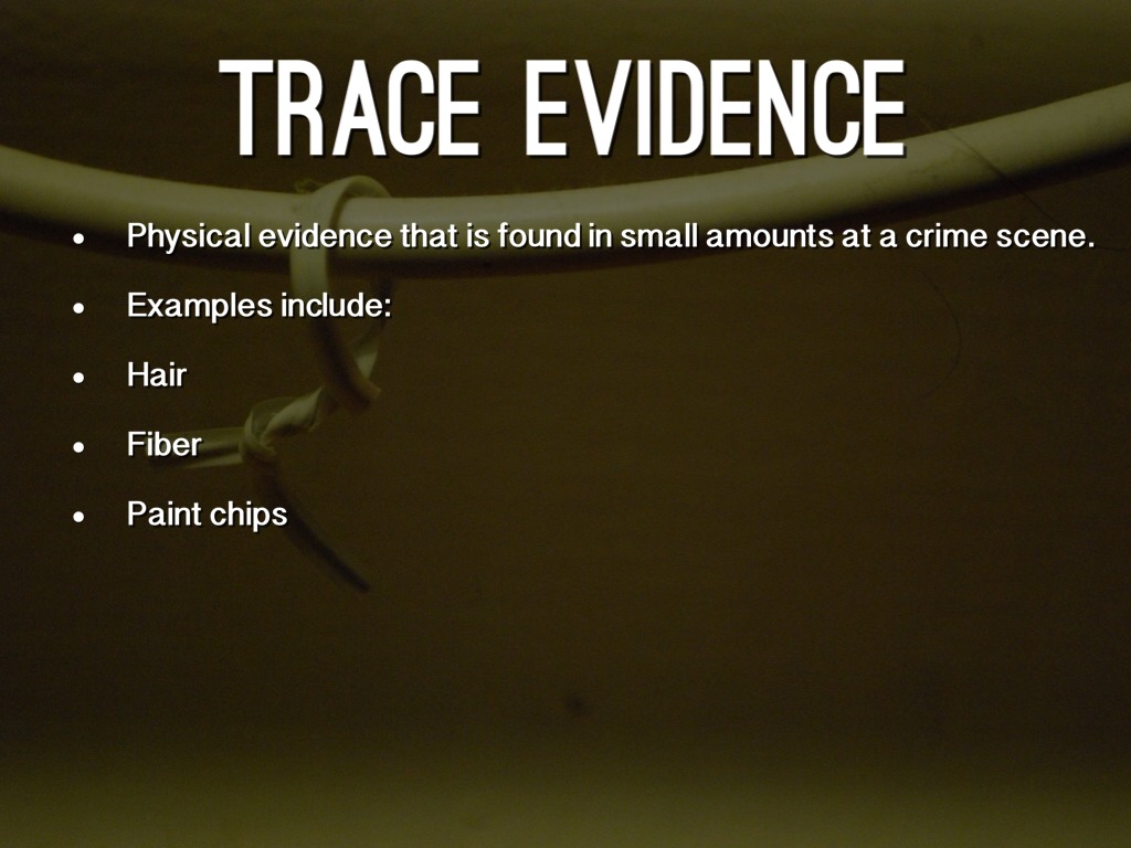 Chapter 9 Study Guide by Rachel Gruebbel