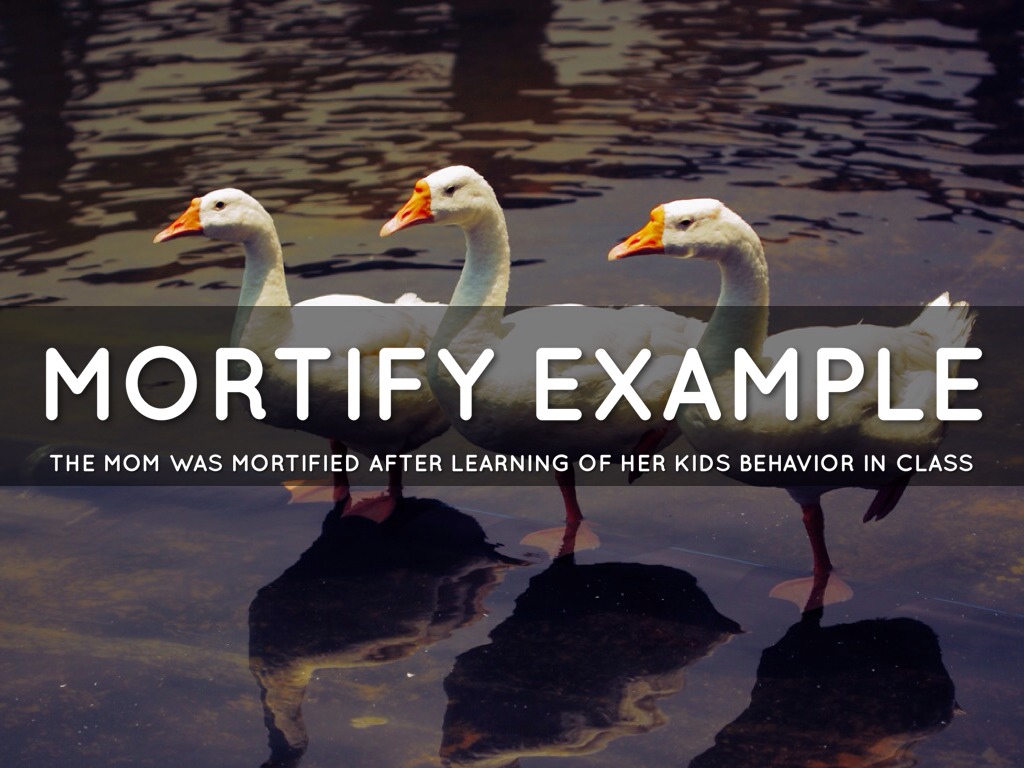 Unit 4 Vocab by Peyton Otis