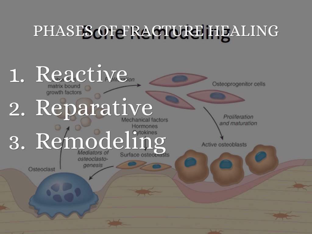 Bad To The Bone! by Aliah Jones