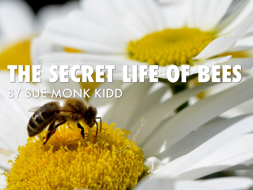 The secret life of bees by Caroline Juckett