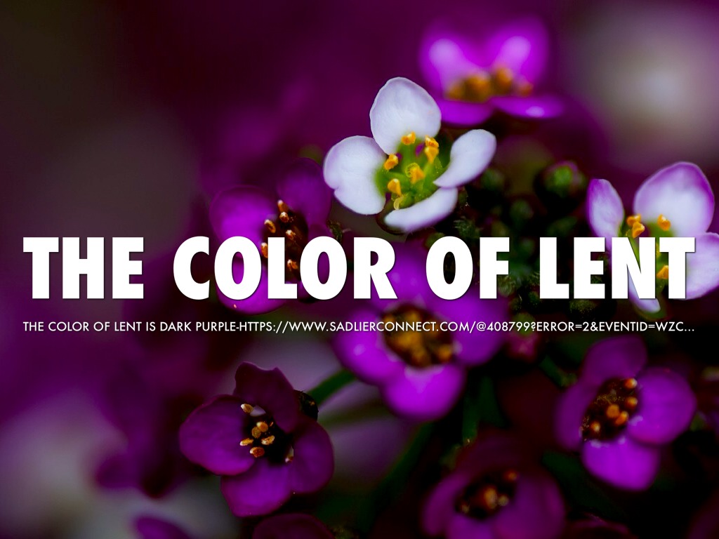 Lent by Quincy Curley