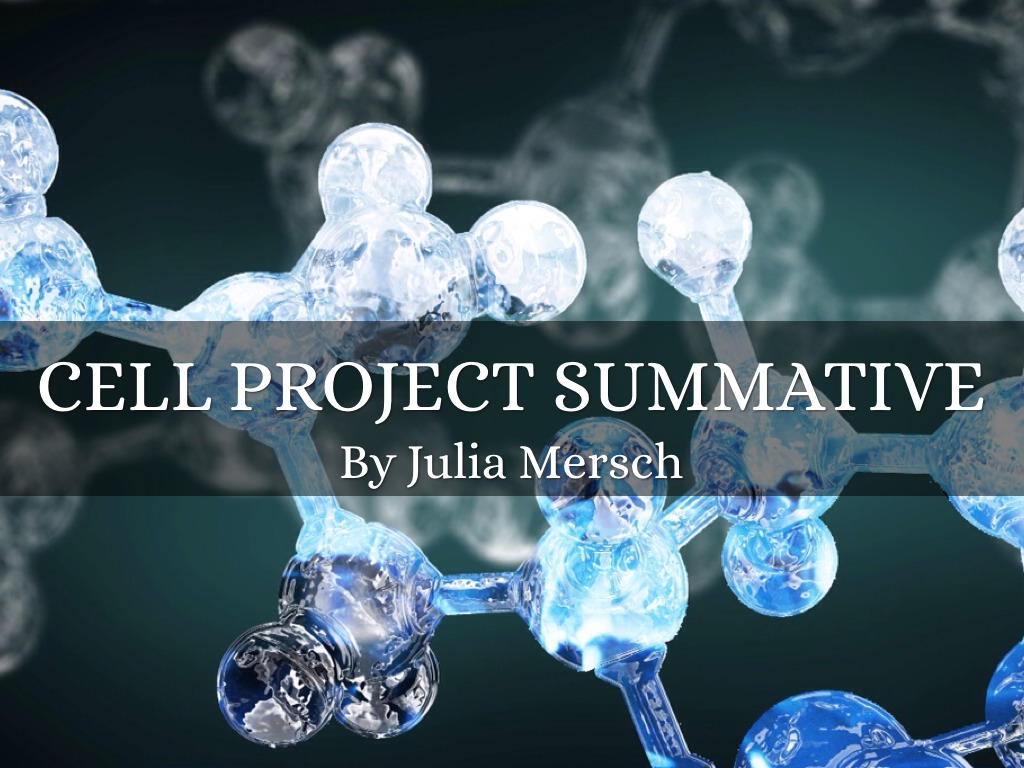 Summative Science Project by Julia Mersch