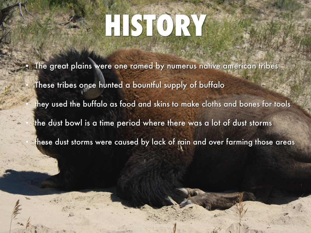 land forms project by Tyler Gerding