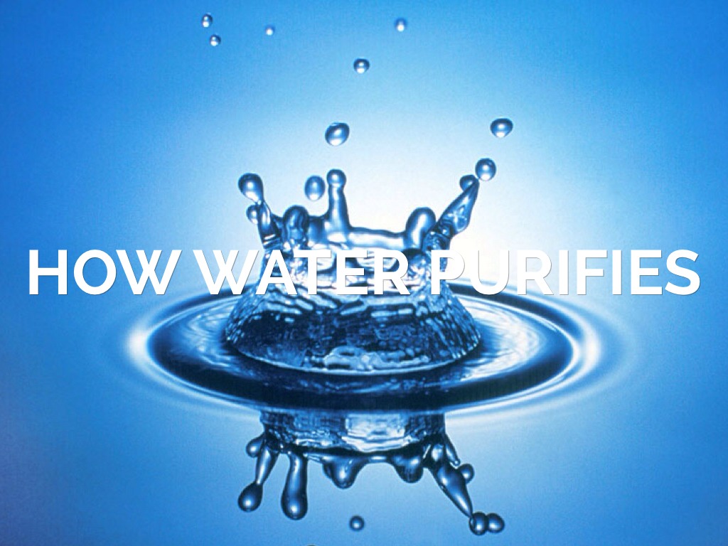 Water Purification by Hannah Cox