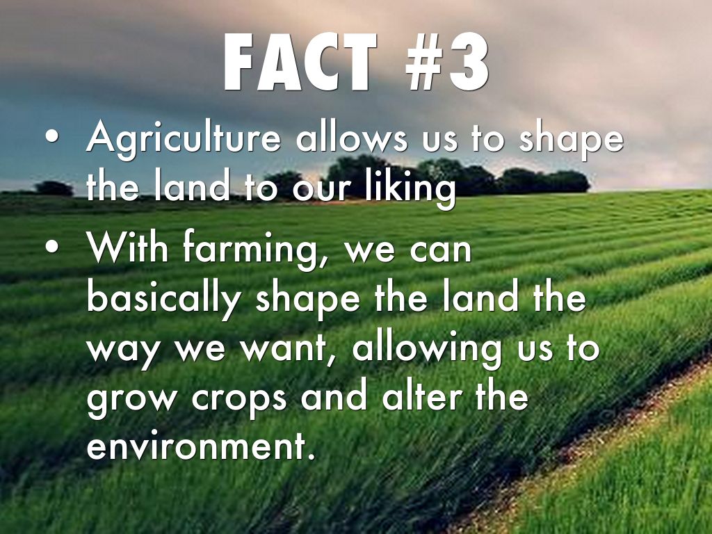 Agriculture Why Is It Important By Zach ton