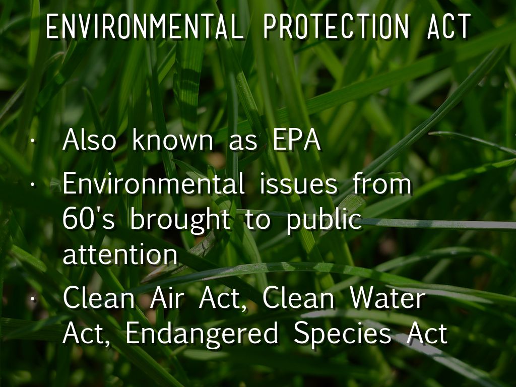 History and Politics by mrkayla