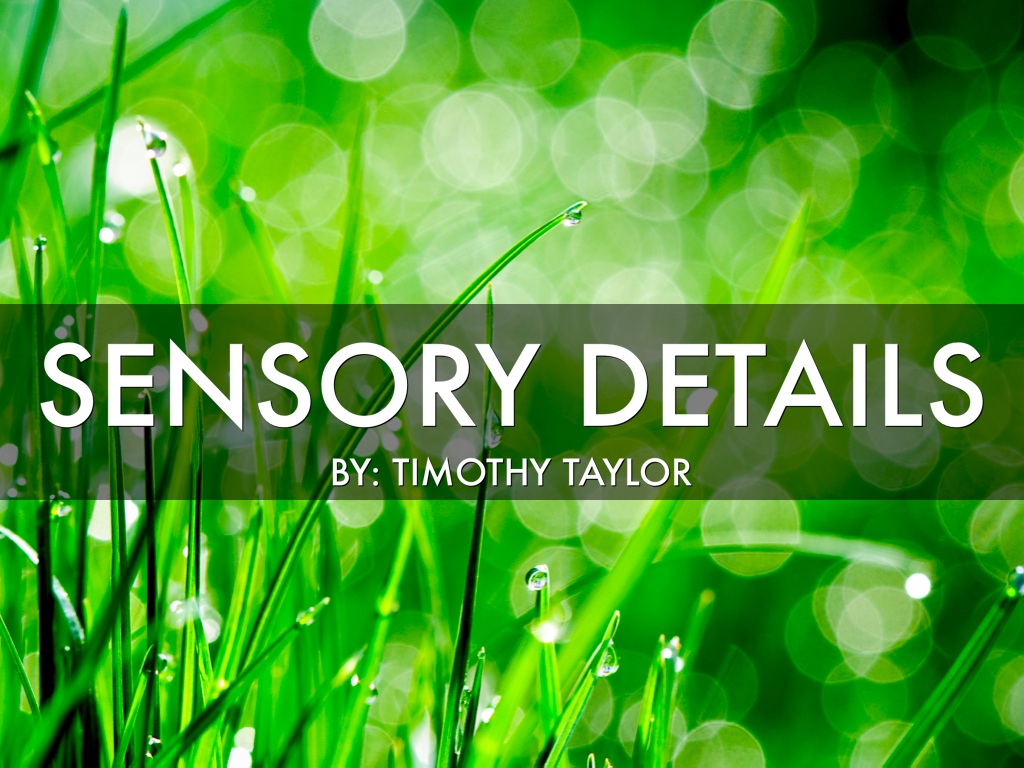 Sensory Details by timothya_taylor