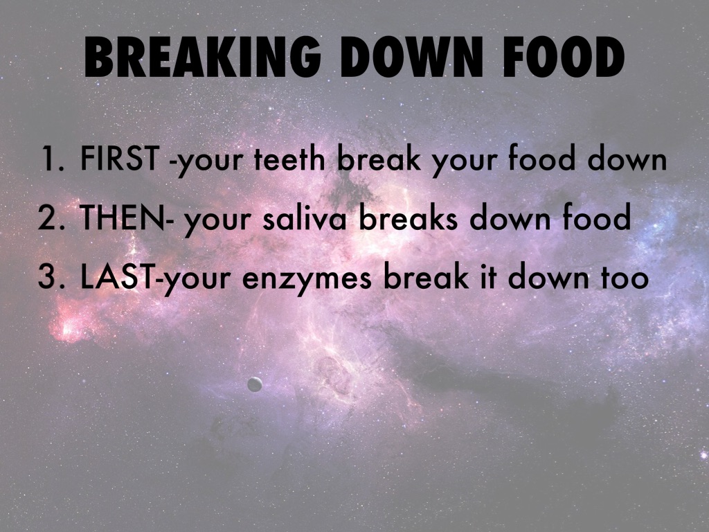 How Food Comes In And Out by AmayA Shaw