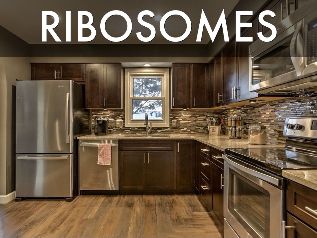 Cell House by Lily Loomis