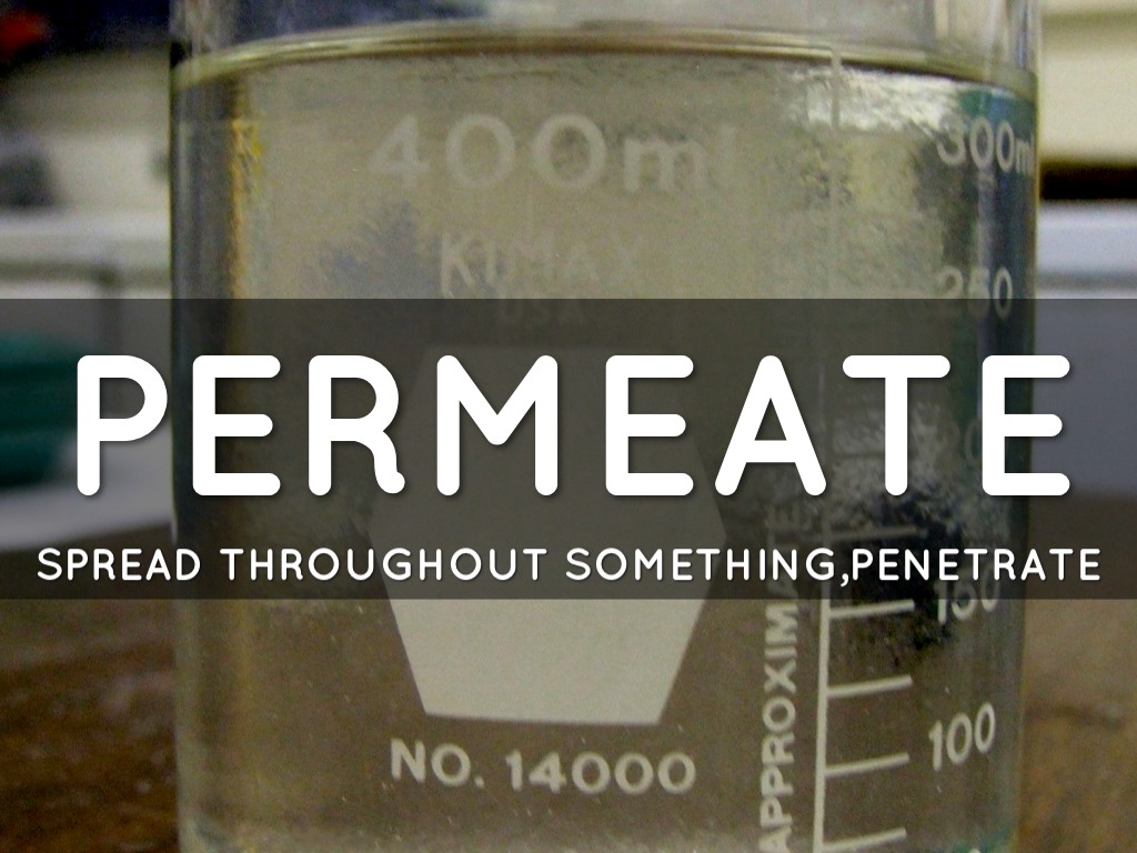 Quarter.3 Vocab Tommy Ruble by Tommy Ruble