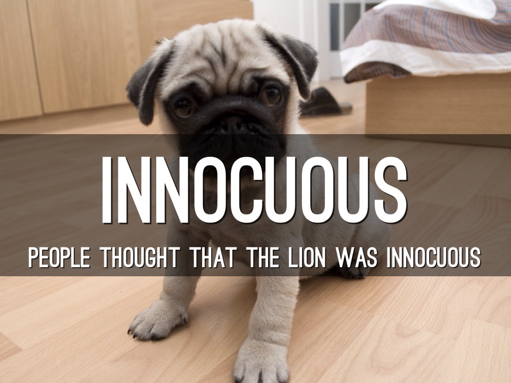 Vocabulary by Morgan Ingle