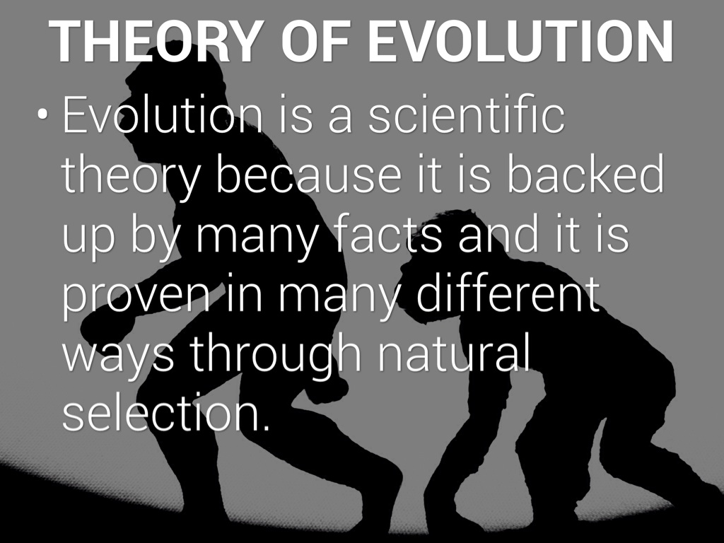 Evolution Project by Hudson Graham