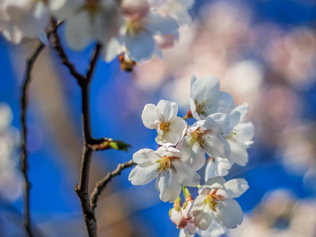 PAVASARIO POŽYMIAI by augustelina