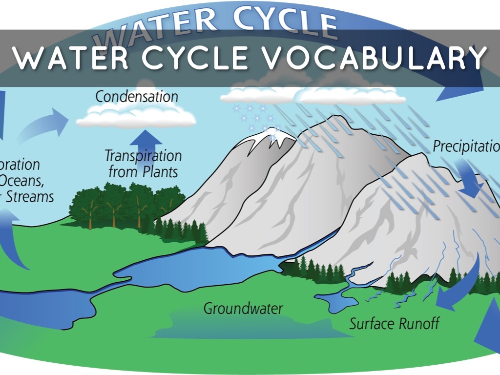 Water Cycle by Sydney Kershaw