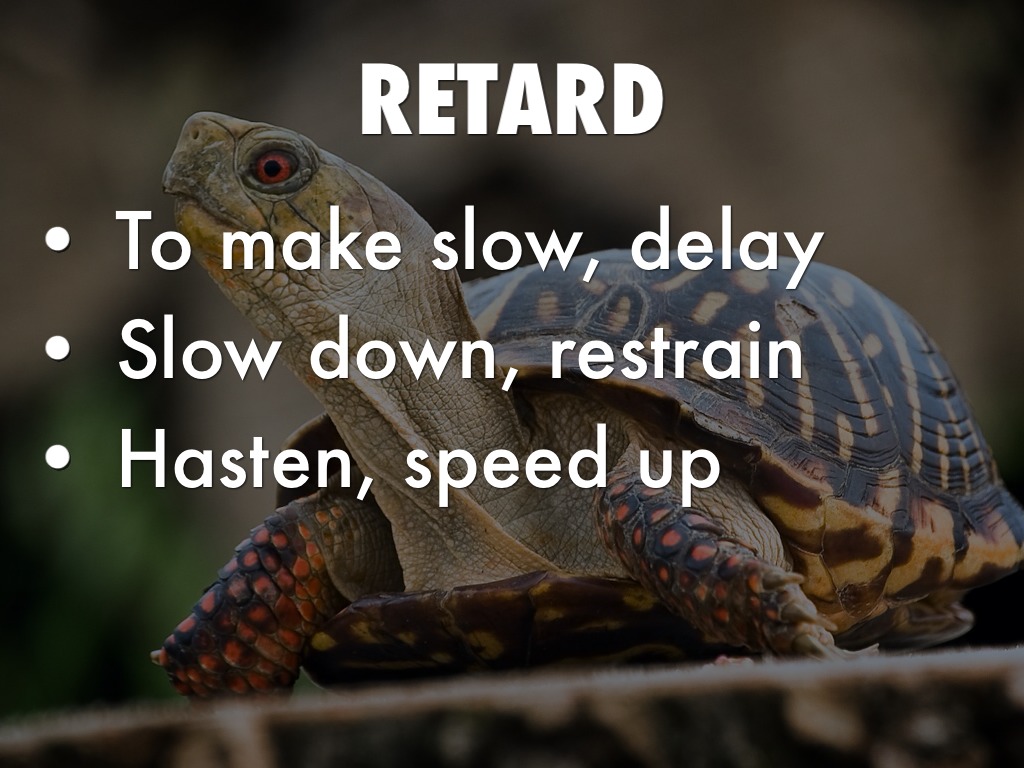 English Vocab 2 by boeaver