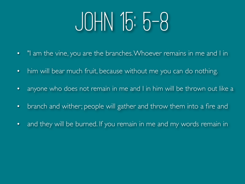 John 15 5 8 By Brian O Hara